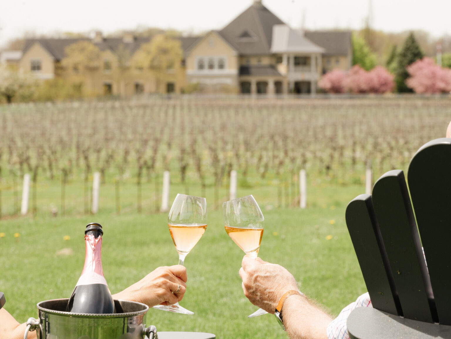 DINE | Oaklands Restaurant | Ansley Sparkling Terrace | Riverbend Inn ...