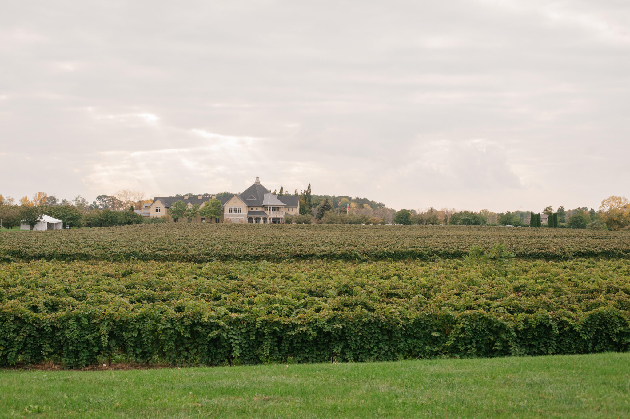 DINE | Oaklands Restaurant | Ansley Sparkling Terrace | Riverbend Inn ...